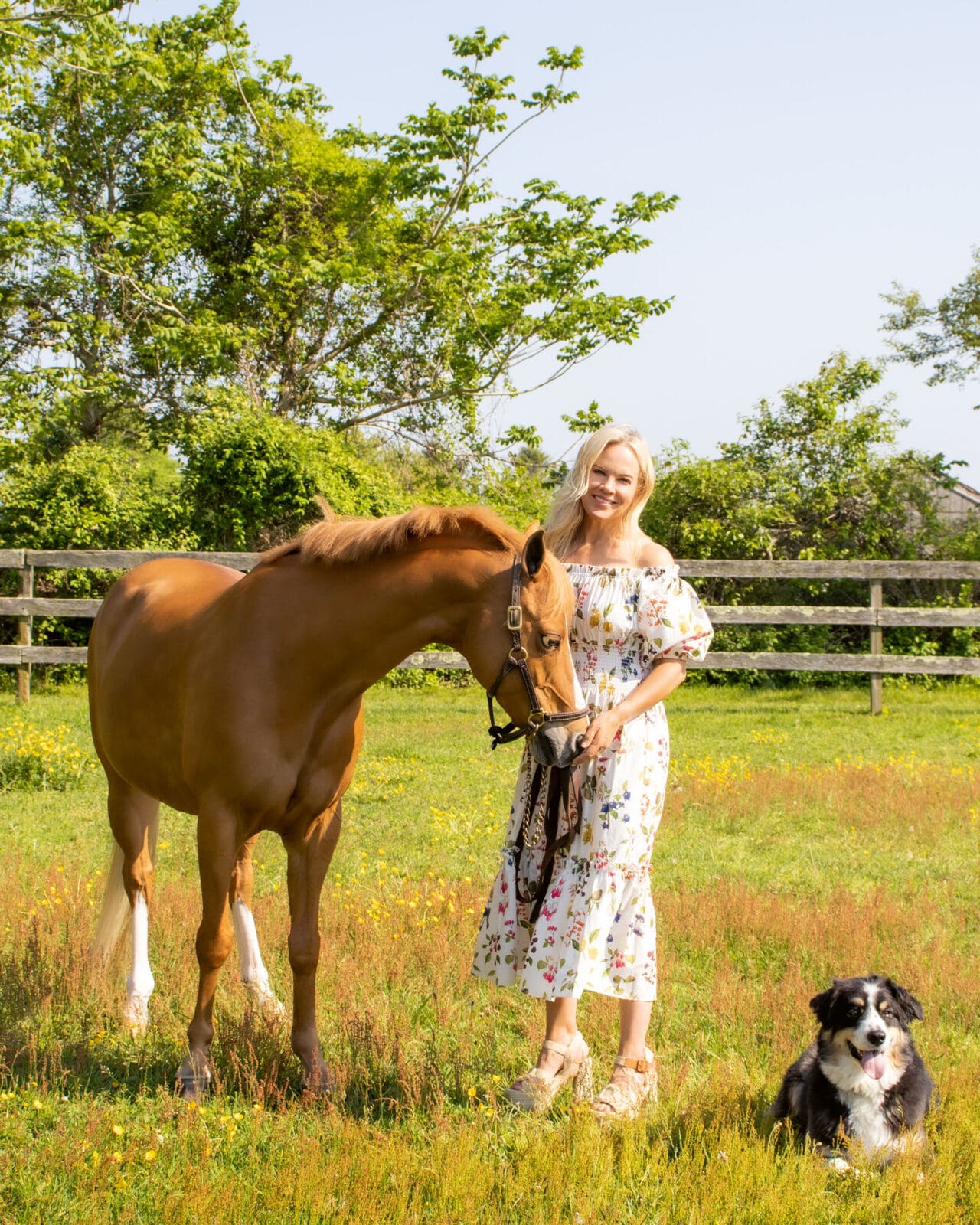 Blue Carreon And The Equestrian Lifestyle In The Hamptons